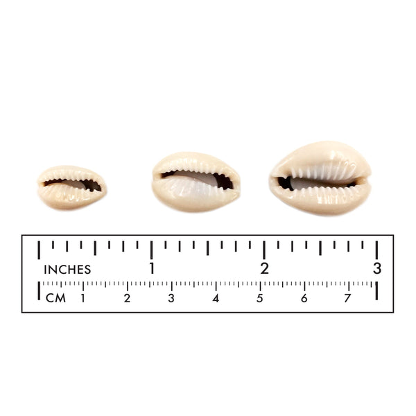 Cowrie Shells for Jewelry Making in Bulk & 10K+ Jewelry Supplies ...